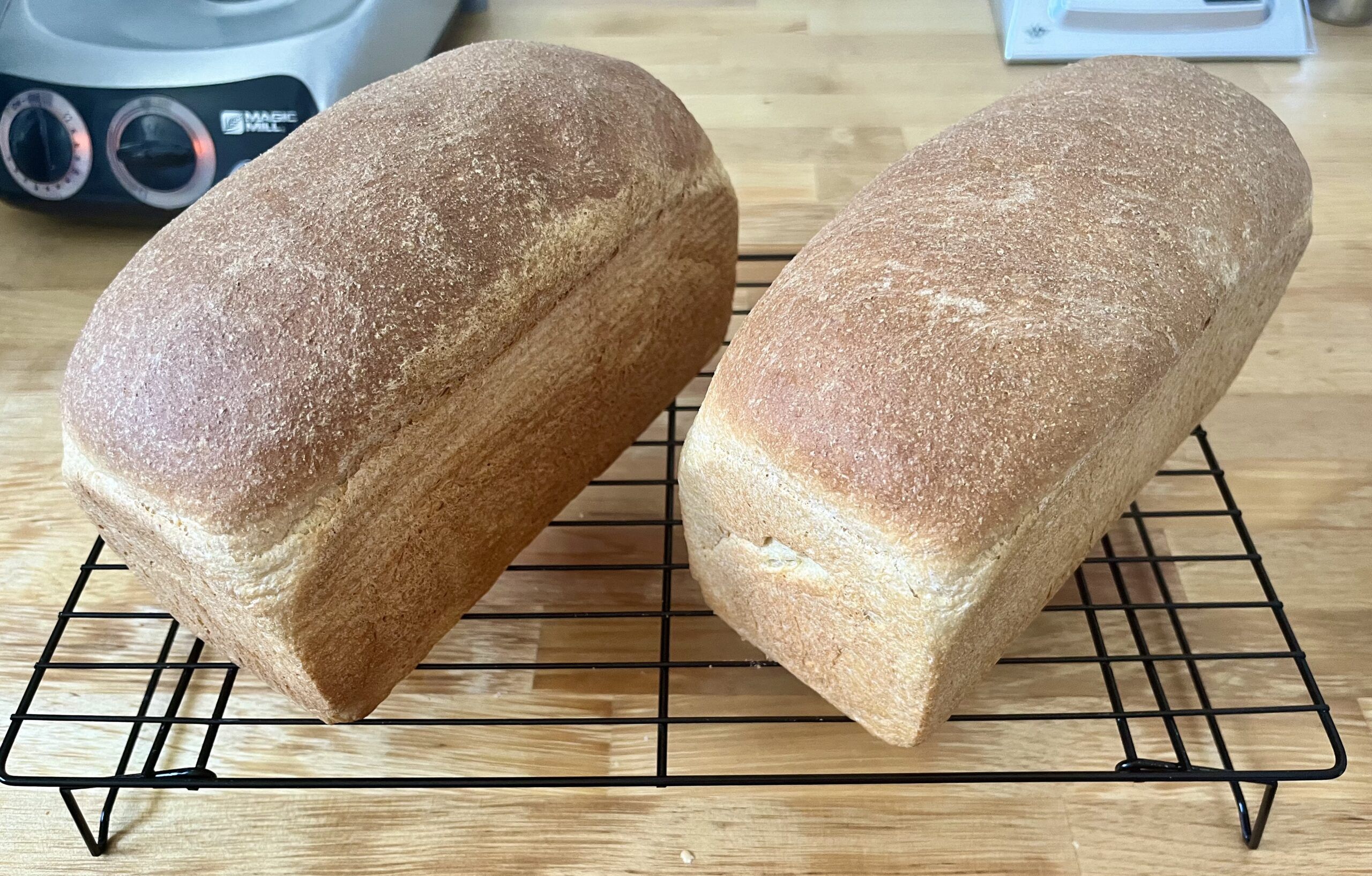 Easy Whole Wheat Sandwich Bread (No Additives Needed)